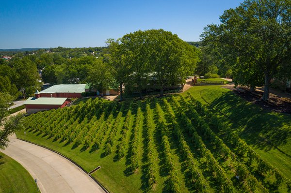 Hermann MO Wineries: Find the Best Wineries in Hermann MO