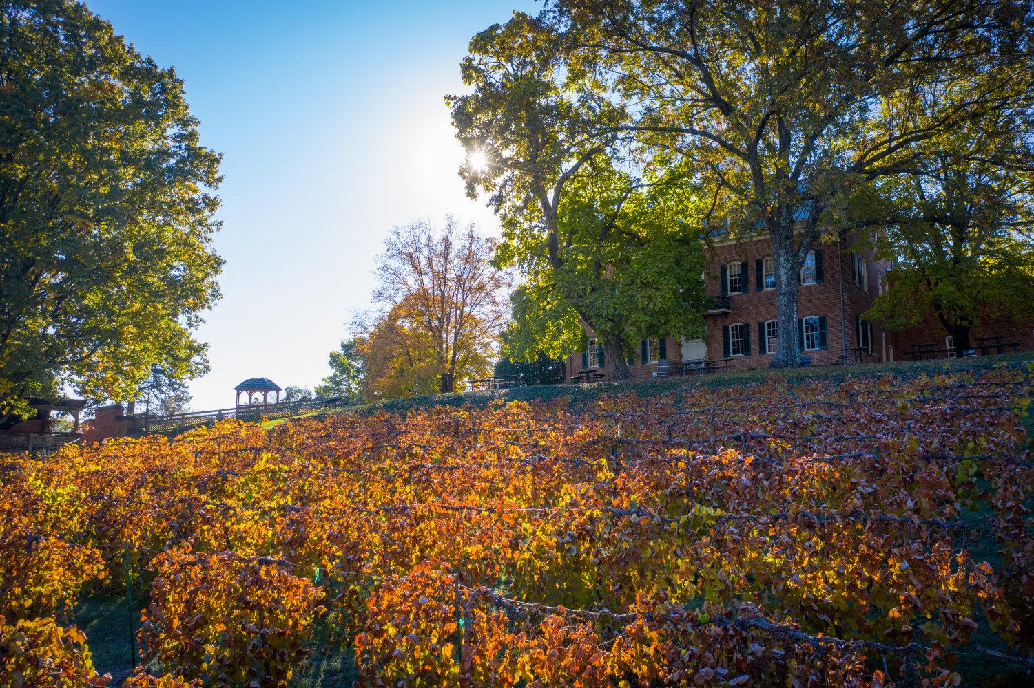 Discover Hermann MO Fall Festivals and a Slower Pace