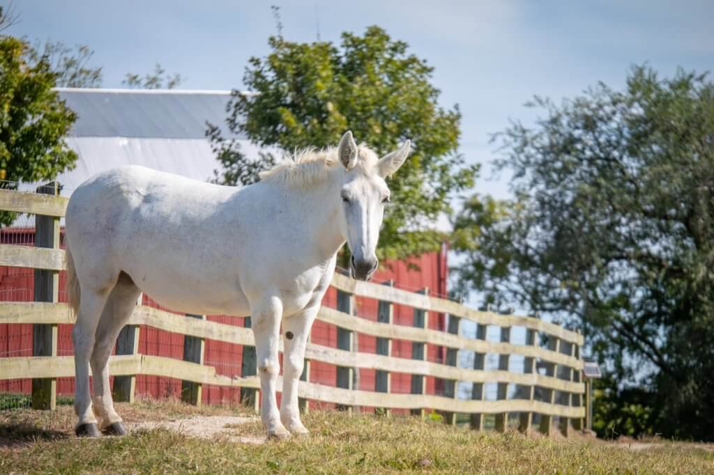 River Views and Spectacular Hermann Missouri Scenery